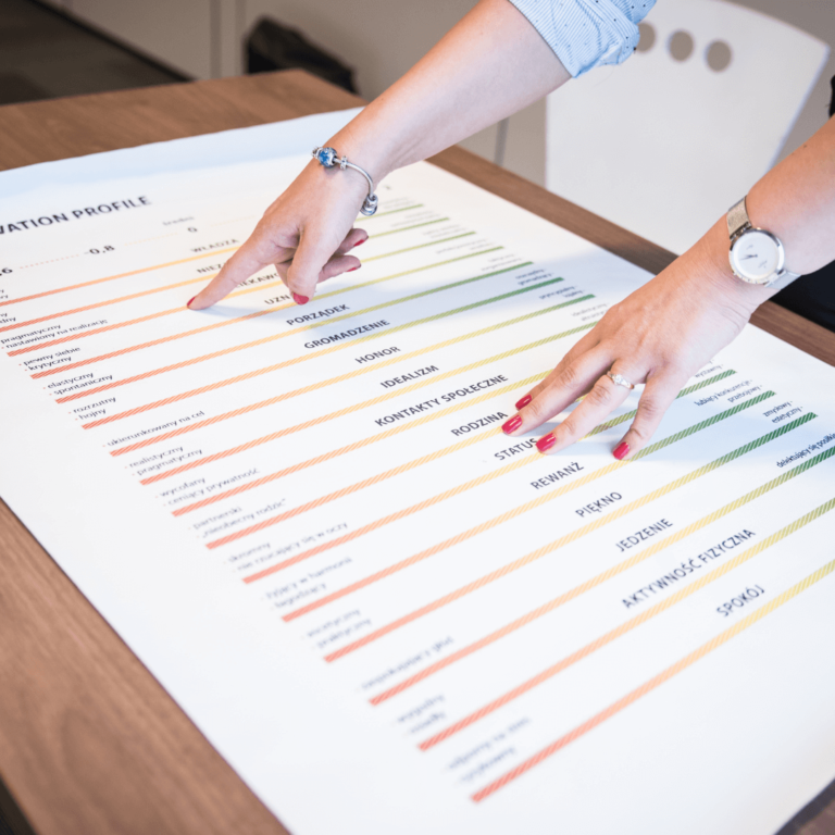 Reiss Motivation Profile - Future Skills